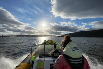 Mischief Wildlife Experience | Dolphin Spirit Inverness