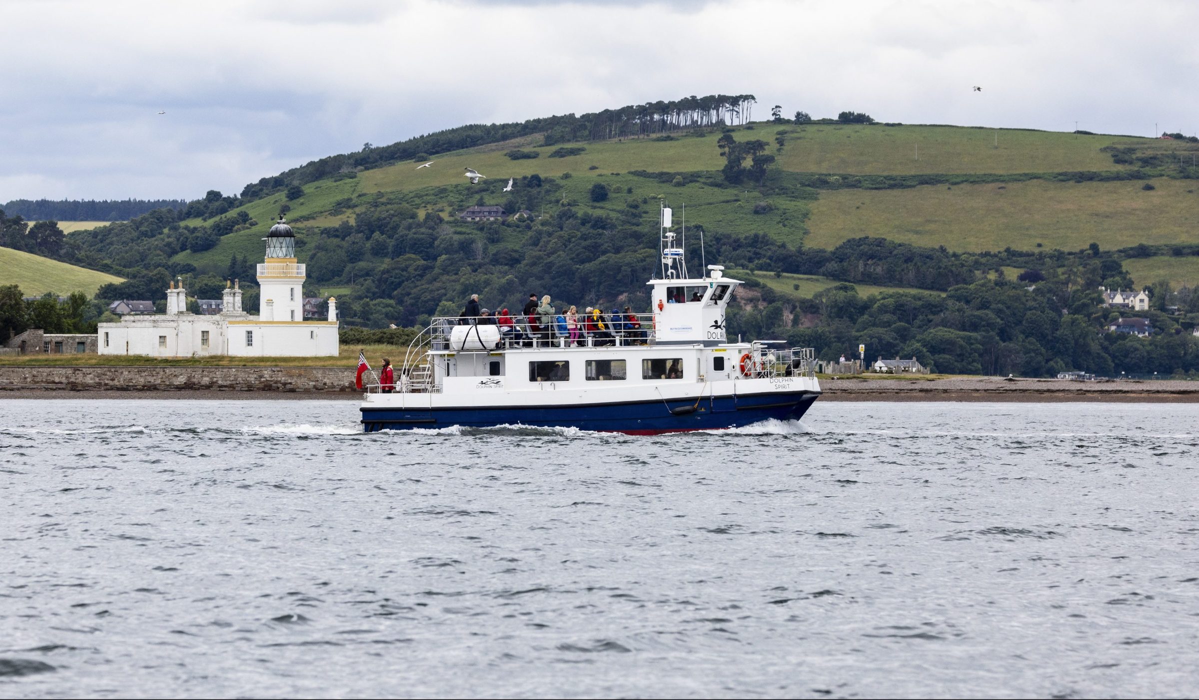 Moray Firth & Inverness Boat Cruise | Dolphin Spirit Inverness